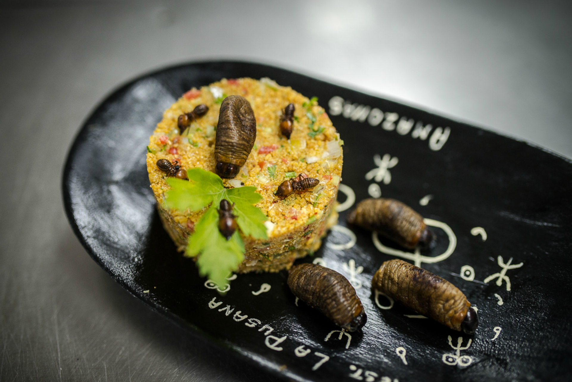 Araña asada y gusanos fritos: una lección de cocina amazónica ...